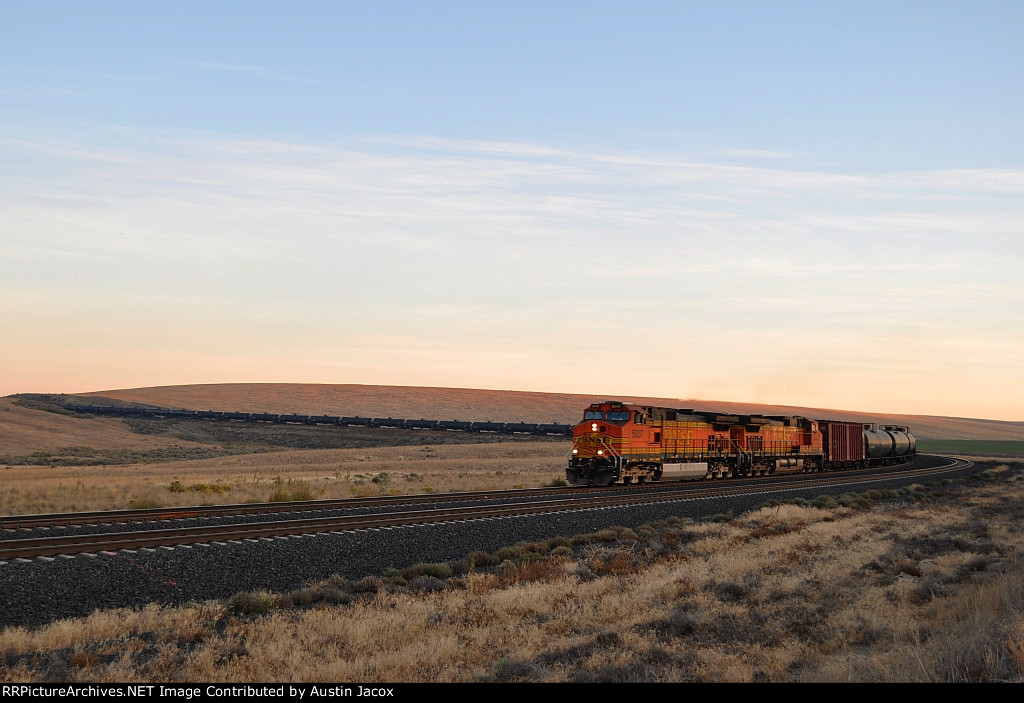 BNSF 5007
